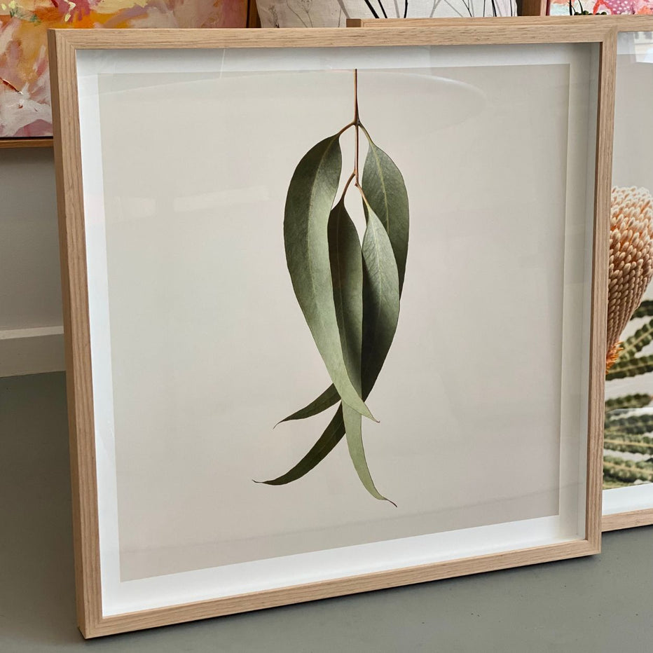 FRAMED - EUCALYPTUS STUDY #1 – The Interiors Assembly